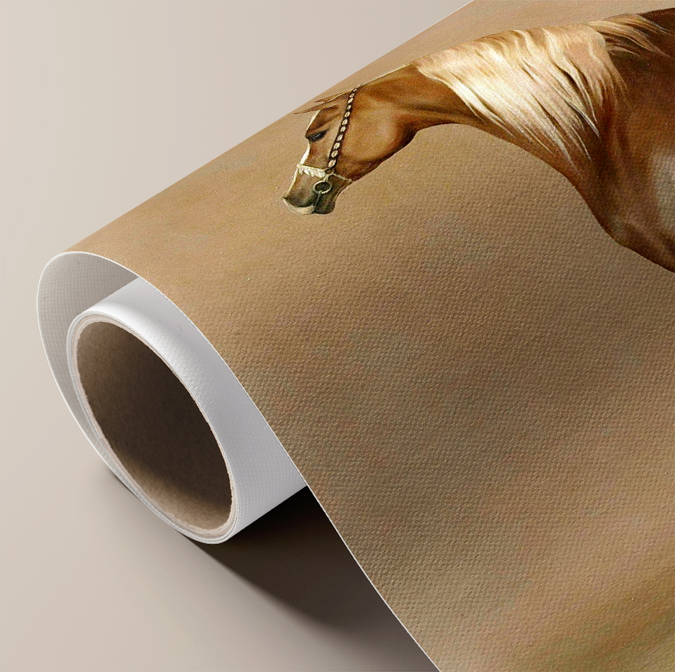 Arab Horse - by Anna Bazhenova | MUR Gallery